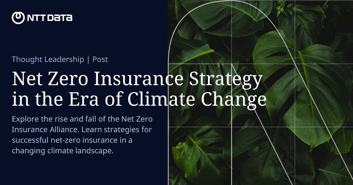 Net Zero Insurance Strategy in the Era of Climate Change
